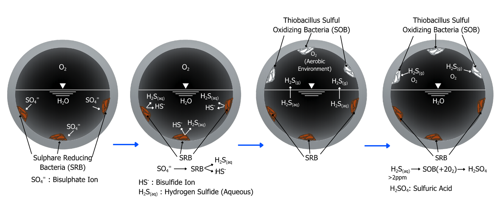 Septiox®: A Proven Solution for Septicity in Wastewater Treatment - CSG